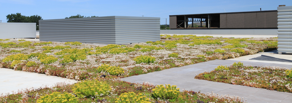 LiveRoof Hybrid Green Roofs