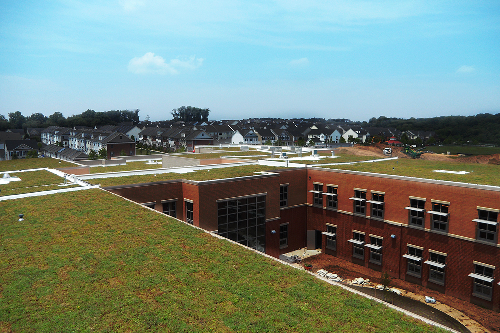 LiveRoof Hybrid Green Roofs | LiveRoof Green Roofs Help Montgomery ...